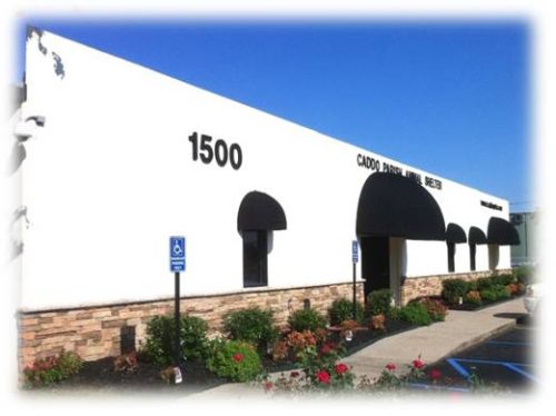 About Animal Services | Parish of Caddo