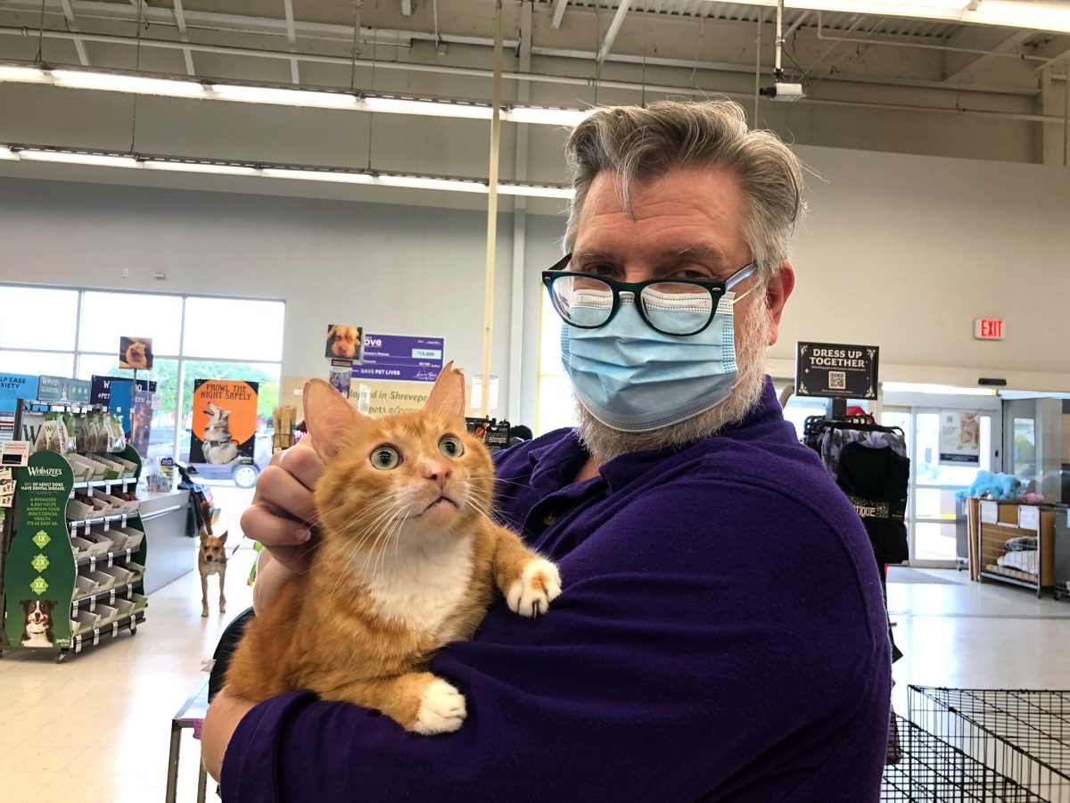 cat adoption | Parish of Caddo