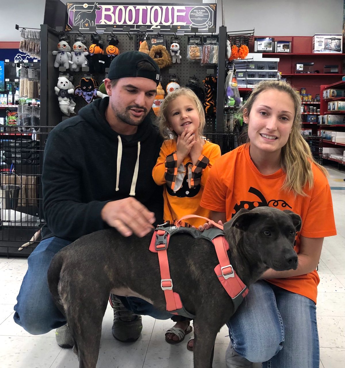 dog adoption | Parish of Caddo