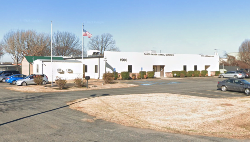 Animal Services | Parish of Caddo