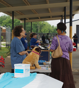 Animal Services and Mosquito Control | Parish of Caddo